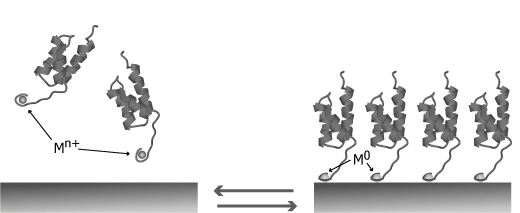 We developed this technique based on the unique redox interfacial ...